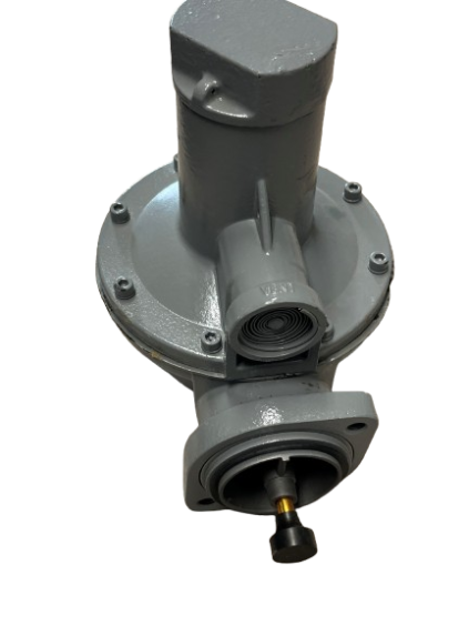 Itron CL34-2 PILOT ASSEMBLY ONLY – Carremm Controls Ltd.