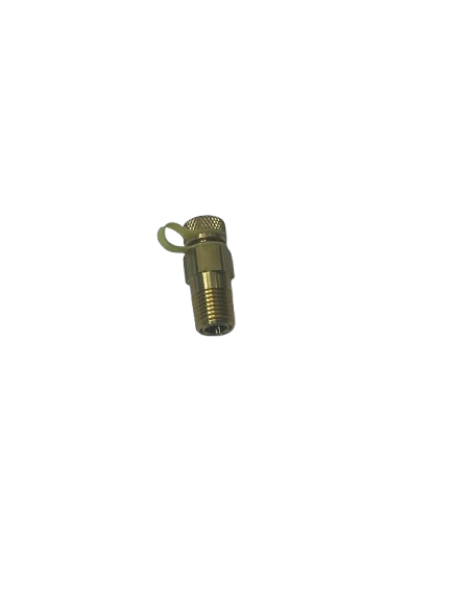 Pressure and Temperature Test Plug 1/4" MNPT – Carremm Controls Ltd.