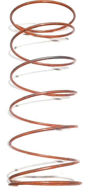 Itron B34/B38 Main Spring – Carremm Controls Ltd.