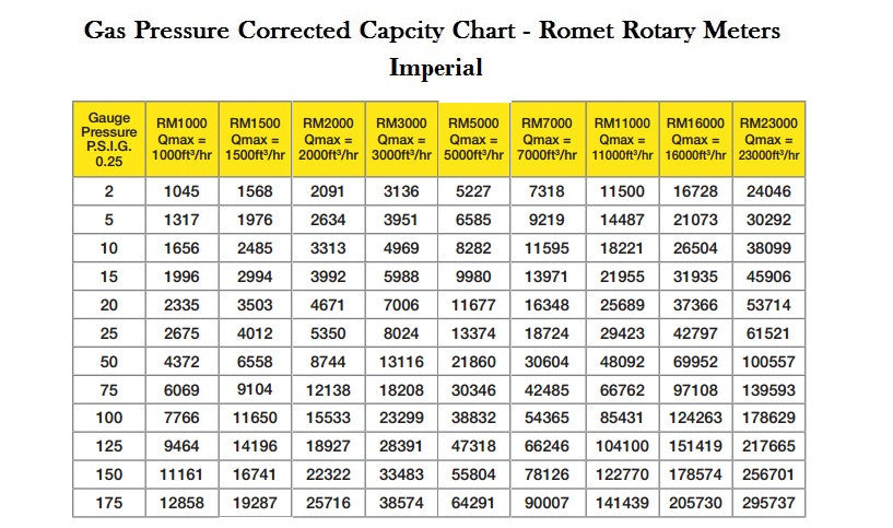 Romet Rotary-Meters with ADEM-PTZ Module (Metric) – Carremm Controls Ltd.