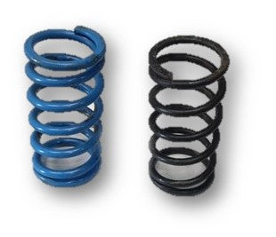 Itron CL34-2/CL38-2 Pilot Springs – Carremm Controls Ltd.